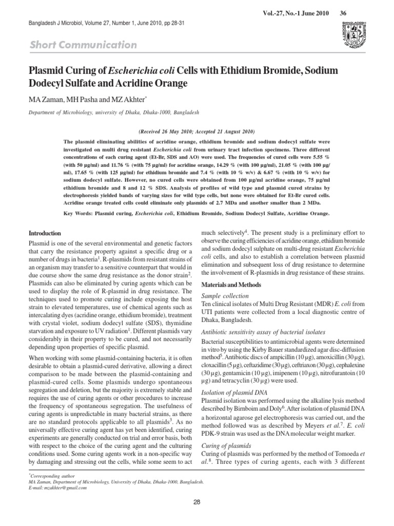Plasmid Curing of Escherichia Coli Cells With Ethidium Bromide | PDF ...