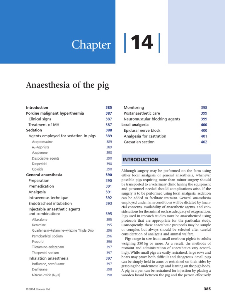 Anesthesia of The Pig | PDF | Anesthesia | Midazolam
