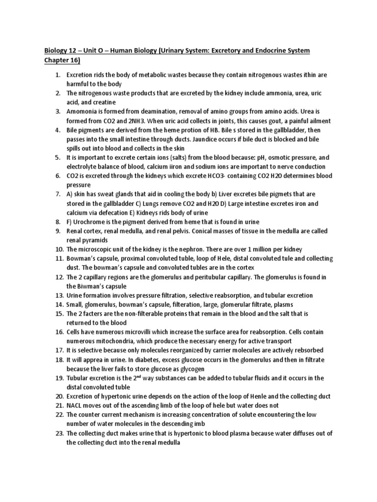 Nitrogenous Waste and Kidney Function | PDF | Kidney | Abdomen