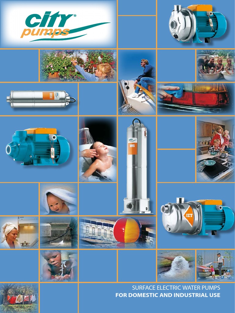 Surface Electric Water Pumps PDF | PDF | Pump | Electric Motor