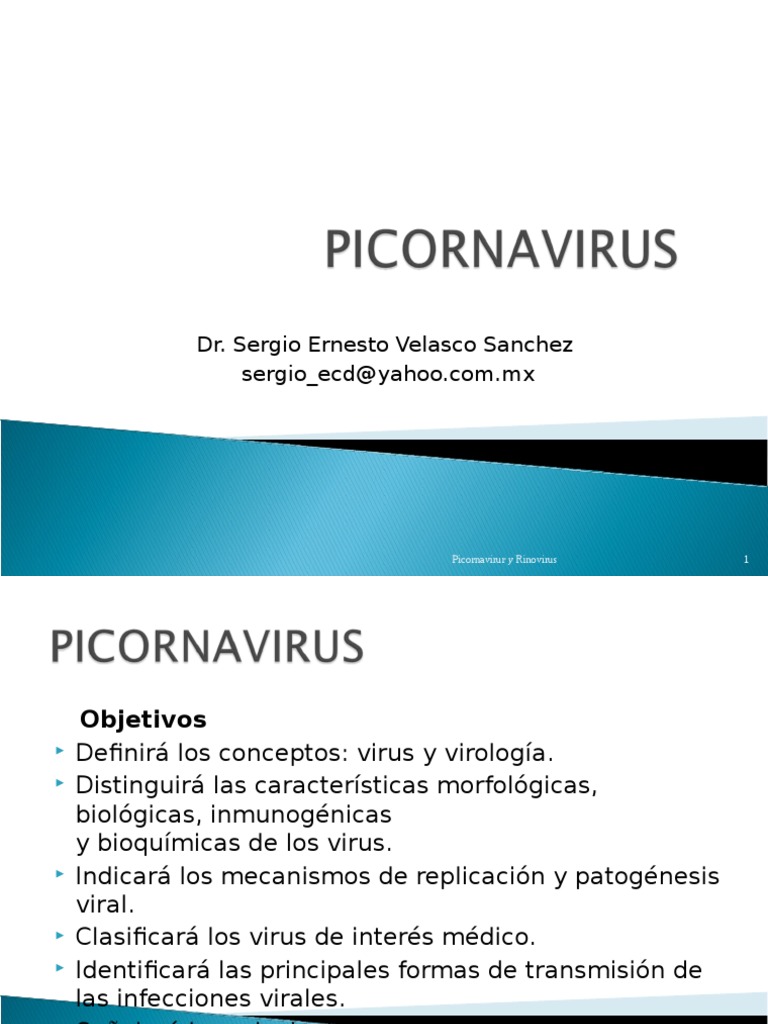 Tema 54 Picornavirus | PDF | Resfriado comun | Virus