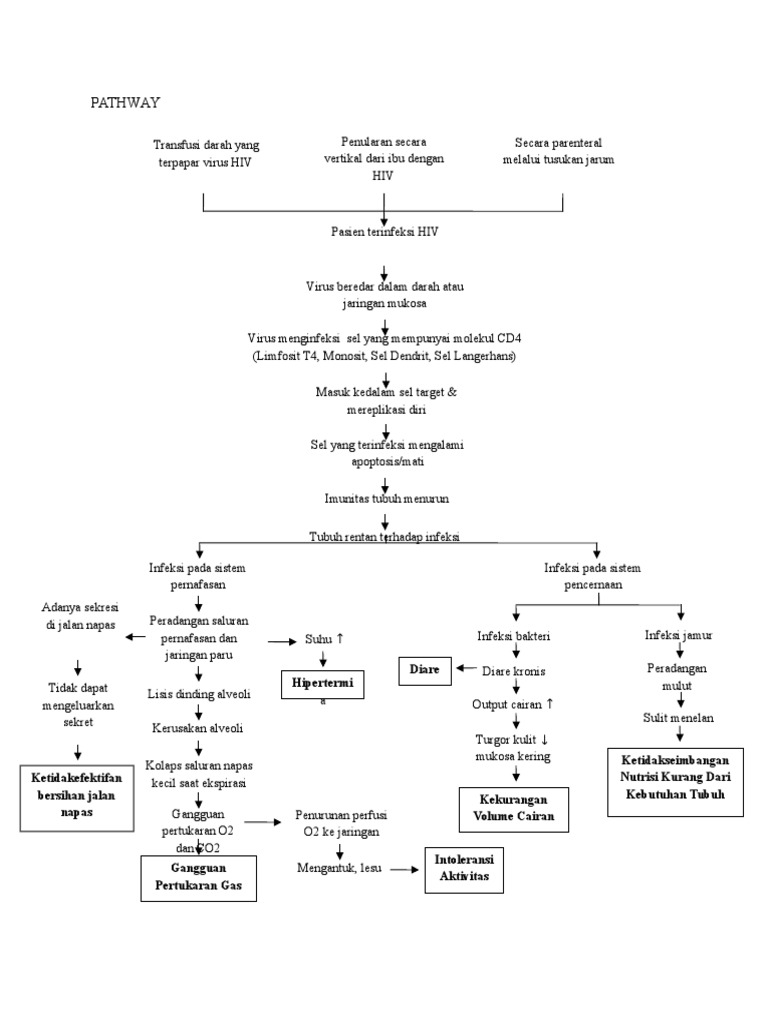 Pathway Hiv Anak
