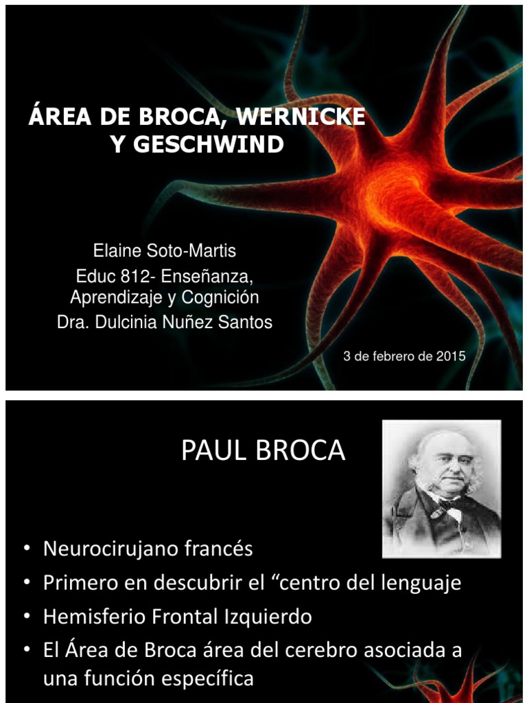 Presentacion Area de Broca - Wernicke - y - Geschwind | PDF ...