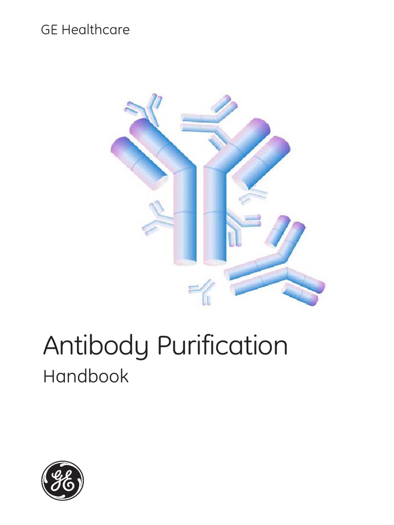 Antibody Purification Guide | PDF | Monoclonal Antibody | Antibody