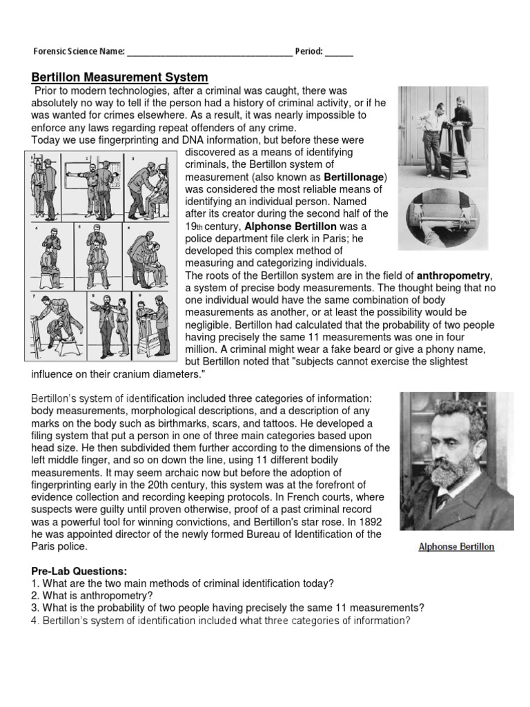 Bertillon Measurement System | PDF | Anthropometry | Forensic Science