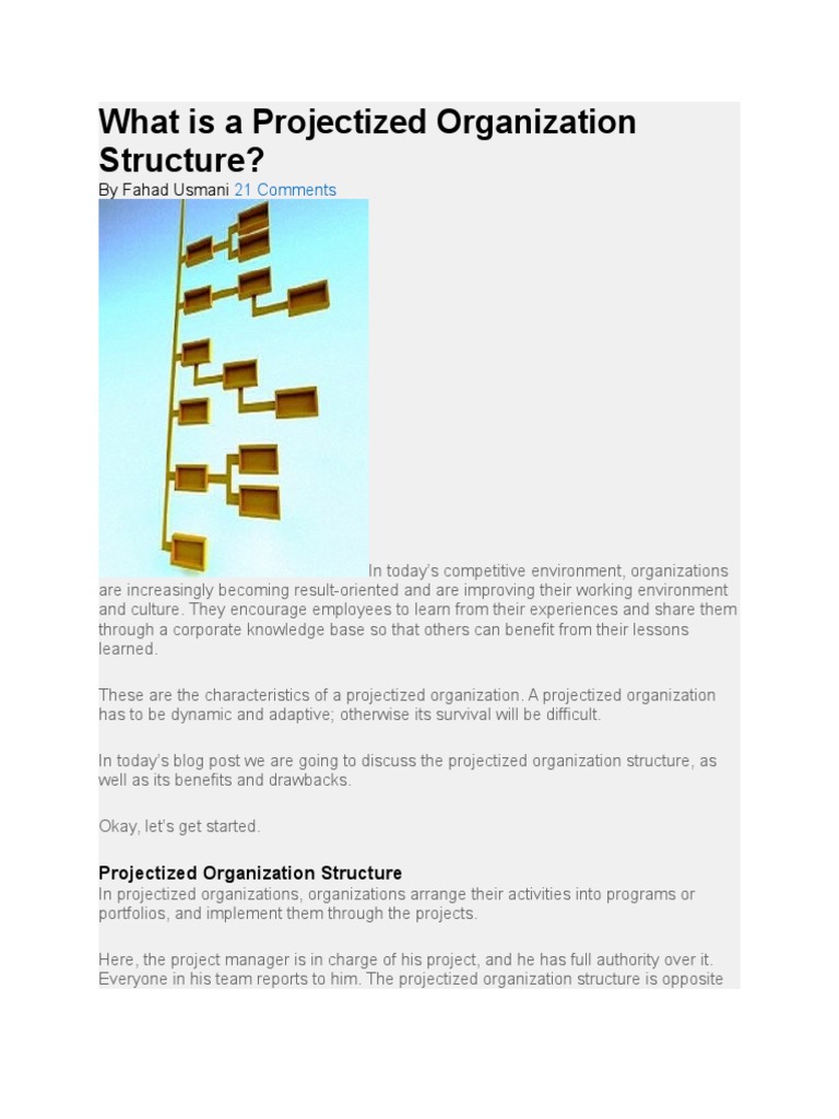 What Is A Projectized Organization Structure | PDF | Business Process ...