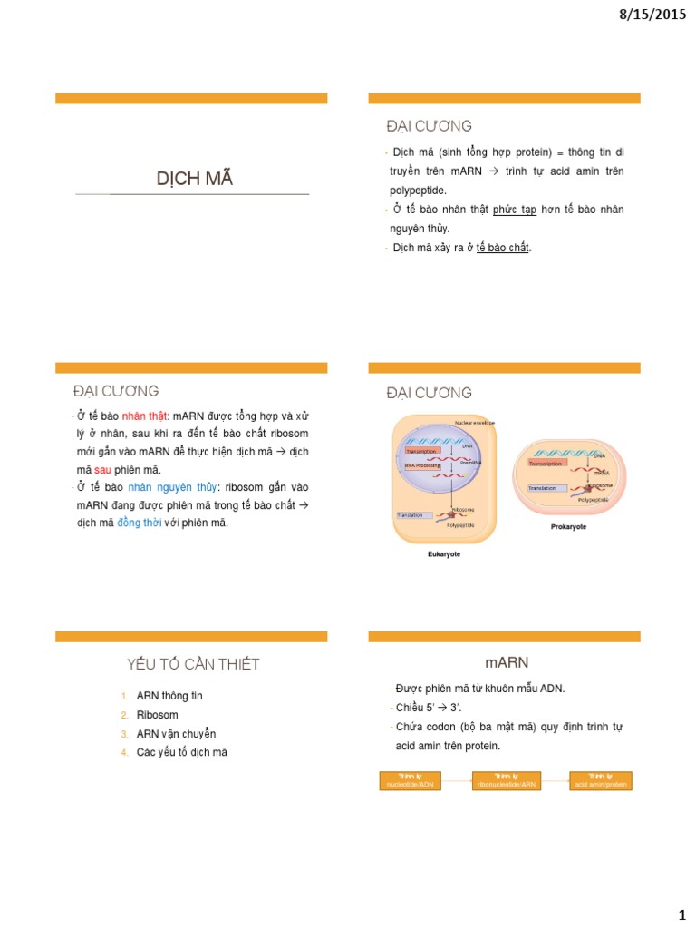 4 Dich Ma PDF | PDF