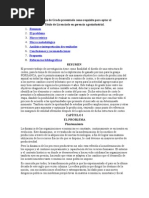 Visita Al Rastro | PDF | Carne | Matadero