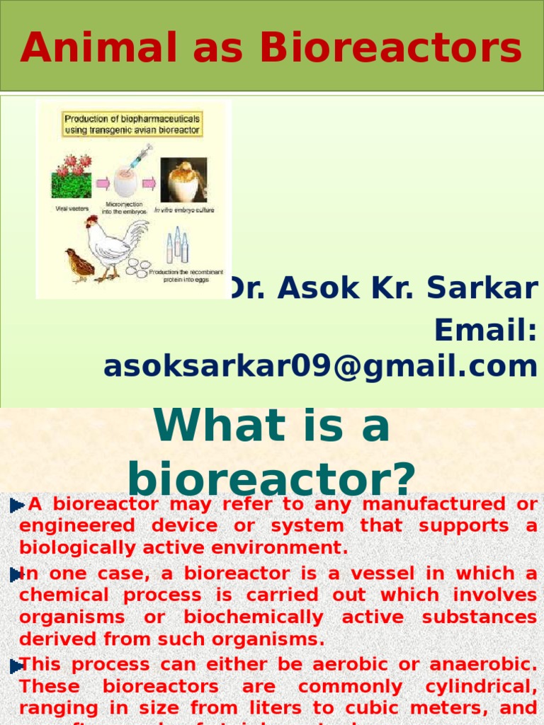 Animal As Bioreactors | PDF | Sheep | Biopharmaceutical