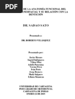 Analisis de Rocabado | PDF | Anatomía | Trastornos musculoesqueléticos