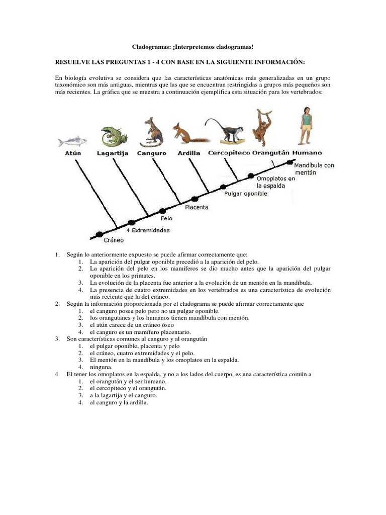Cladogramas Interpretemos Cladogramas | Homología (biología) | Clade