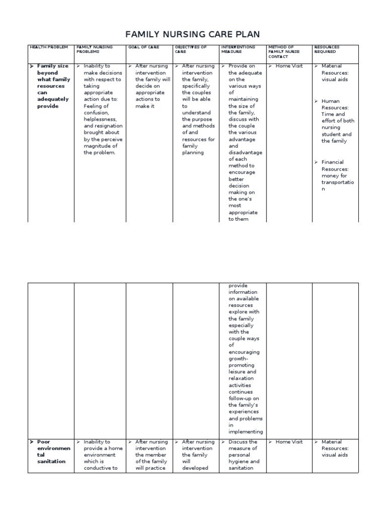 Family Nursing Care Plan Final | PDF | Hygiene | Nursing