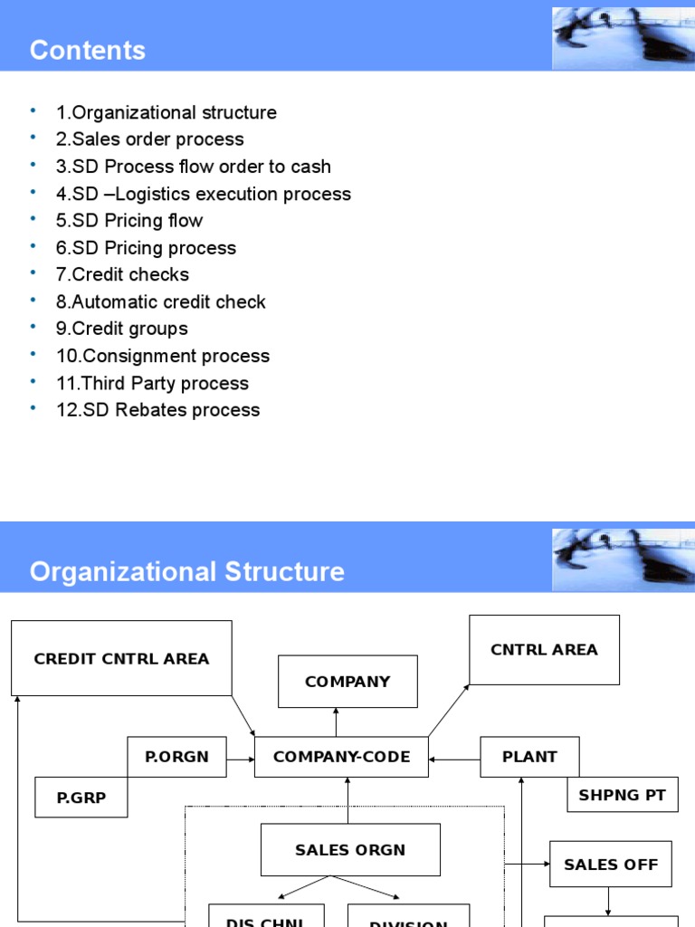 Sap SD Process Flows | PDF | Debits And Credits | Invoice