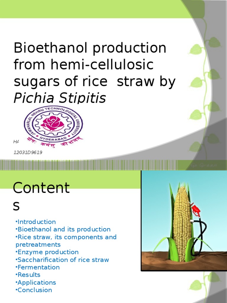Bioethanol Production From Hemi-Cellulosic Sugars of Rice Straw by ...