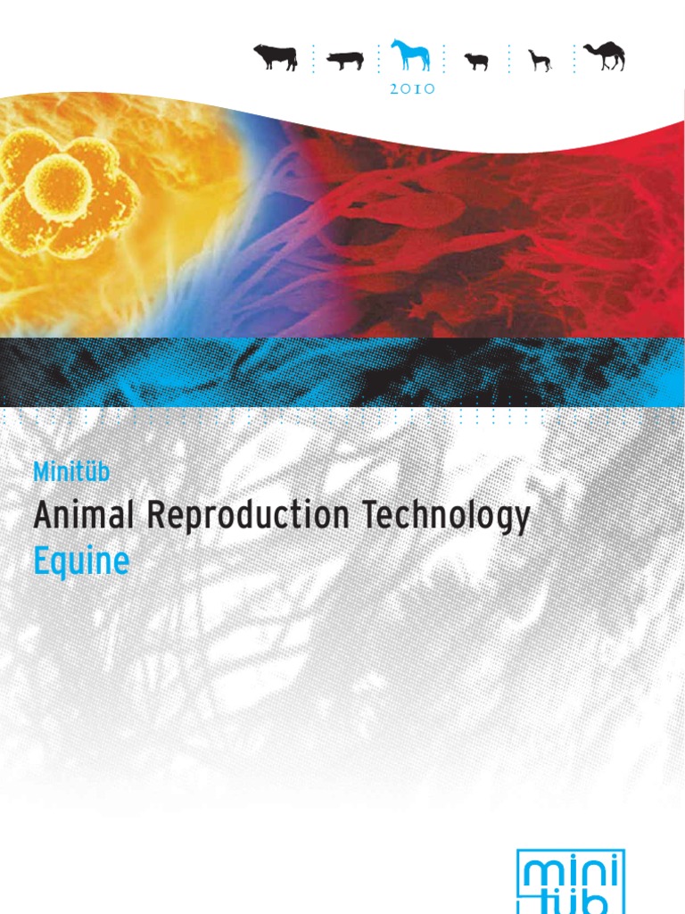 Animal Reproduction Technology: Equine | PDF | Horse Breeding | Printer ...