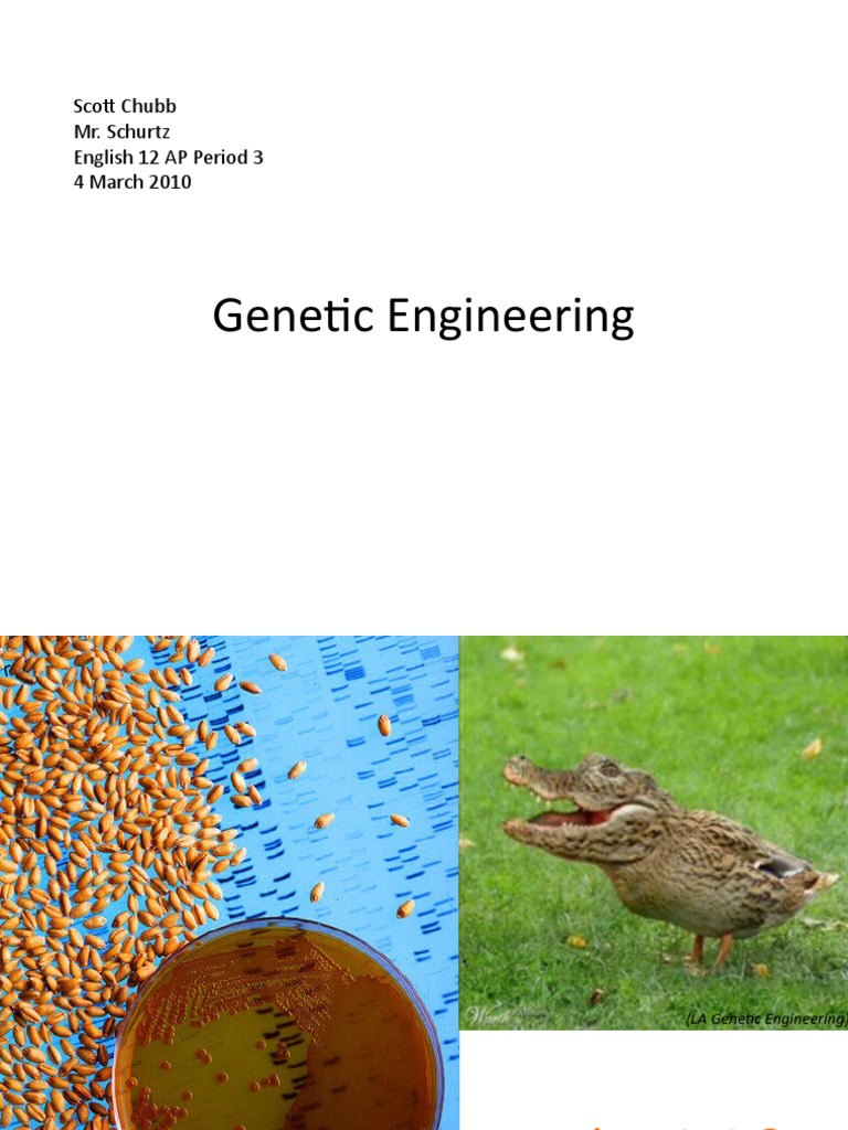 Understanding Genetic Engineering Basics | PDF | Genetics | Genetic ...