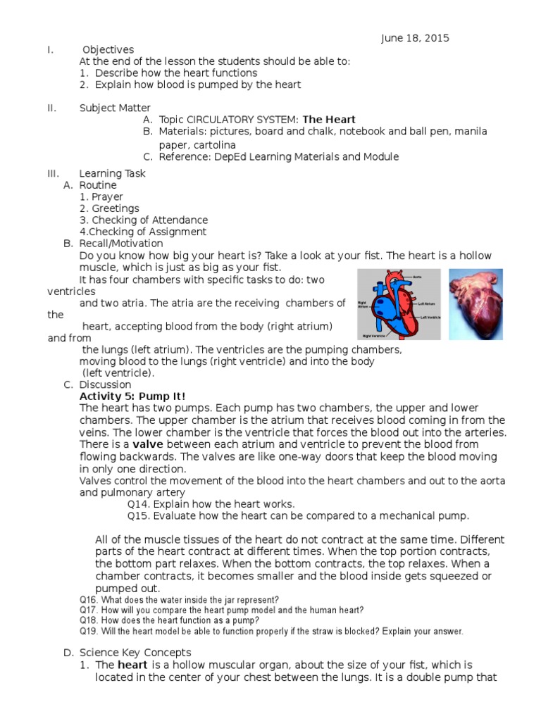 Lesson Plan | PDF | Atrium (Heart) | Heart