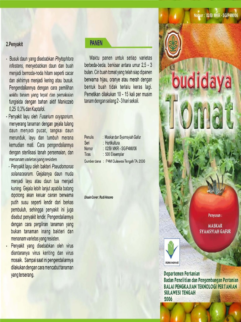 Budidaya Tomat | PDF