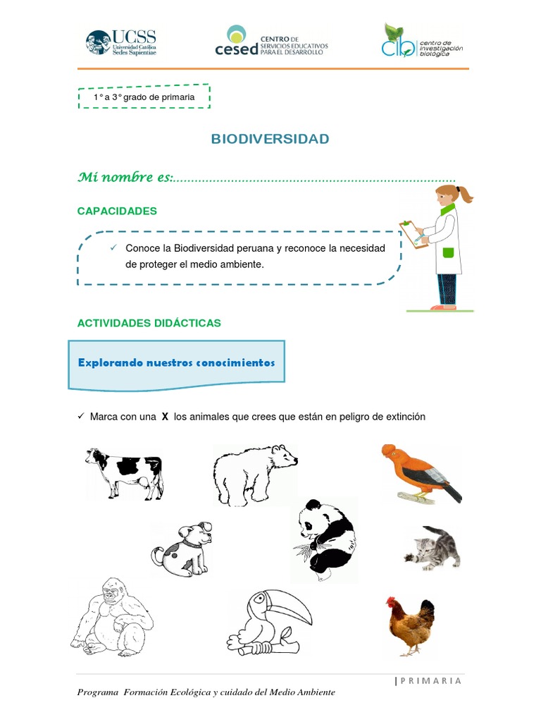 Ficha 1 - 3 Grado | PDF | Biodiversidad | Ecología