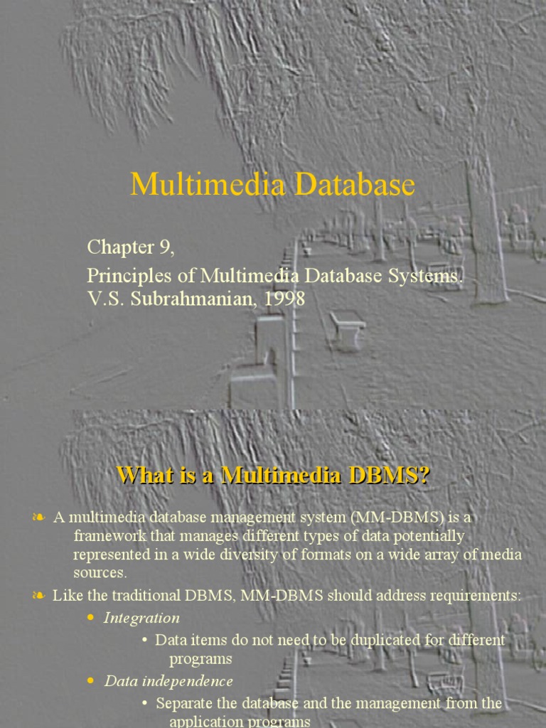 Multimedia Database | PDF | Databases | Metadata