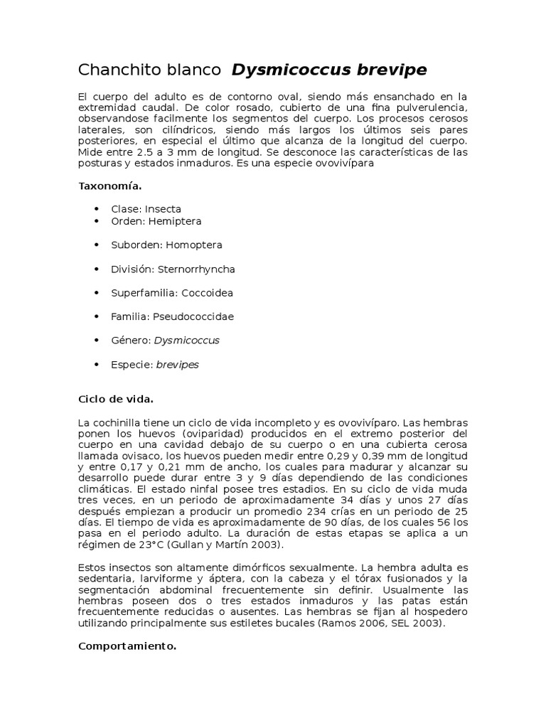 Chanchito Blanco de La Piña Dysmicoccus Brevipe | Descargar gratis PDF ...