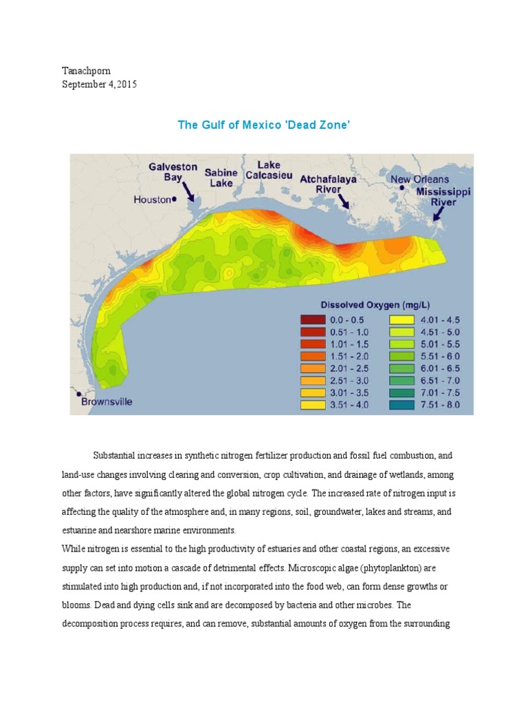 Gulf of Mexico Dead Zone Explained | PDF | Dead Zone (Ecology ...