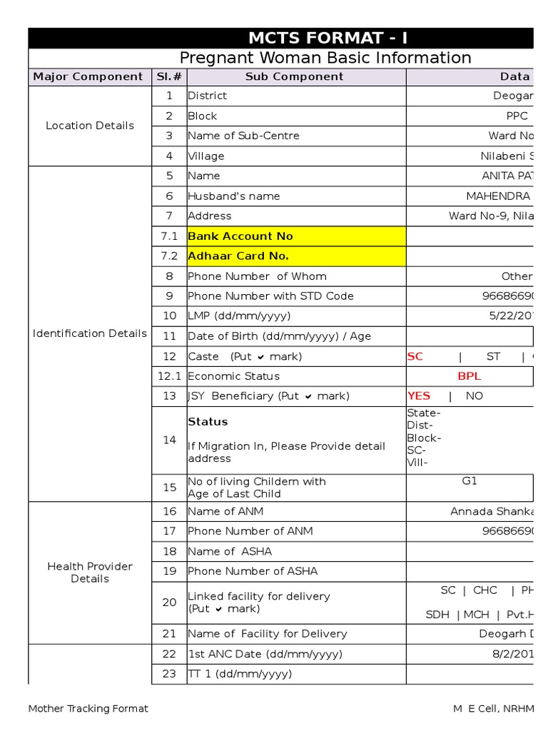 Pregnant Woman Basic Information: Mcts Format - I | PDF | Rtt | Wellness