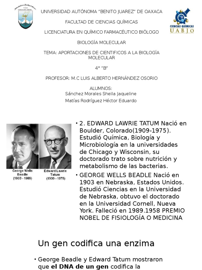Edward Lawrie Tatum y George Wells Beadle | PDF | Gene | Enzima