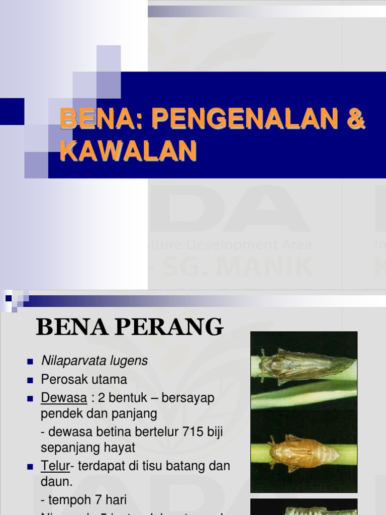 Kawalan Bena Perang | PDF | Griya & Taman | Kesehatan Holistik