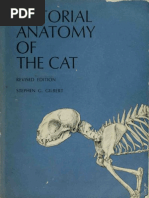 Dog Anatomy | PDF