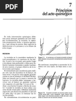 Triangulo de Farabeuf | PDF | Anatomía humana | Cabeza y cuello humanos