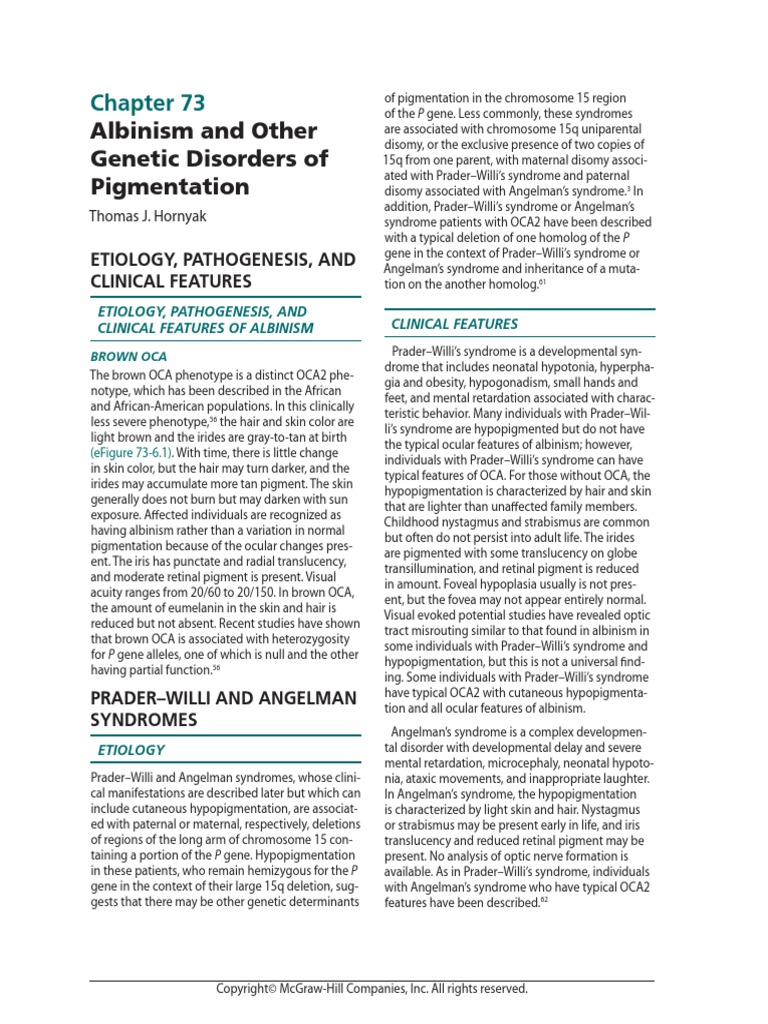 Albinism and Other Genetic Disorders of Pigmentation | PDF | Human Skin ...