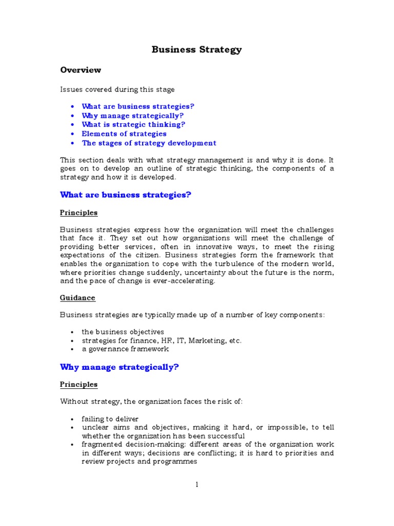 What Is Business Strategy | PDF | Strategic Management | Risk Management