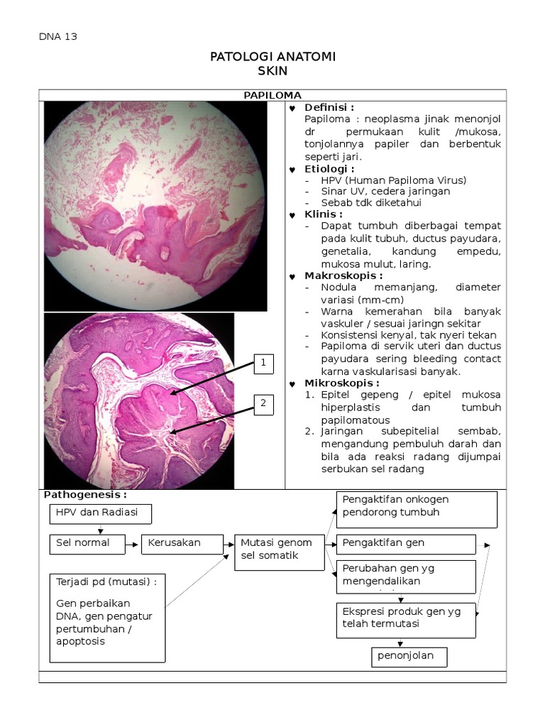 Patologi Anatomi | PDF