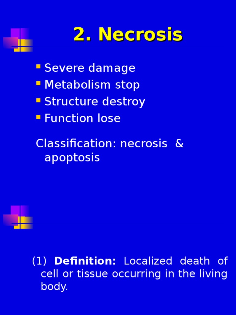 1 5necrosis | PDF | Necrosis | Cell Nucleus