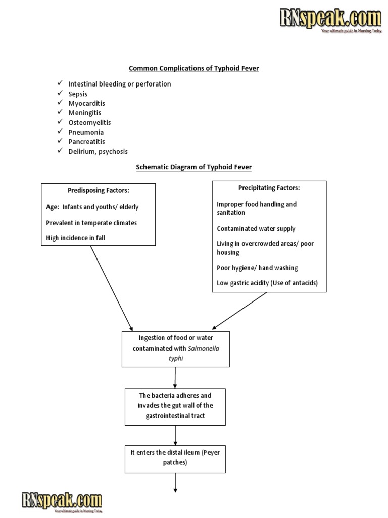 Pathophysiology and Schematic Diagram of Typhoid Fever | PDF ...