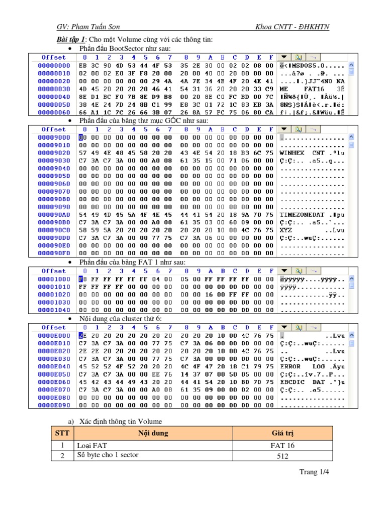 Bt01 - HTTT Fat 1 | PDF