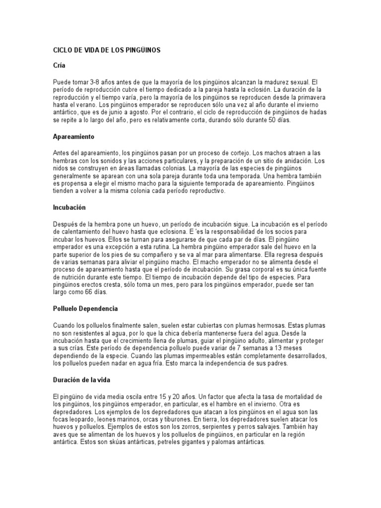 Ciclo de Vida de Los Pingüinos | PDF | Pingüino | Dinosaurios
