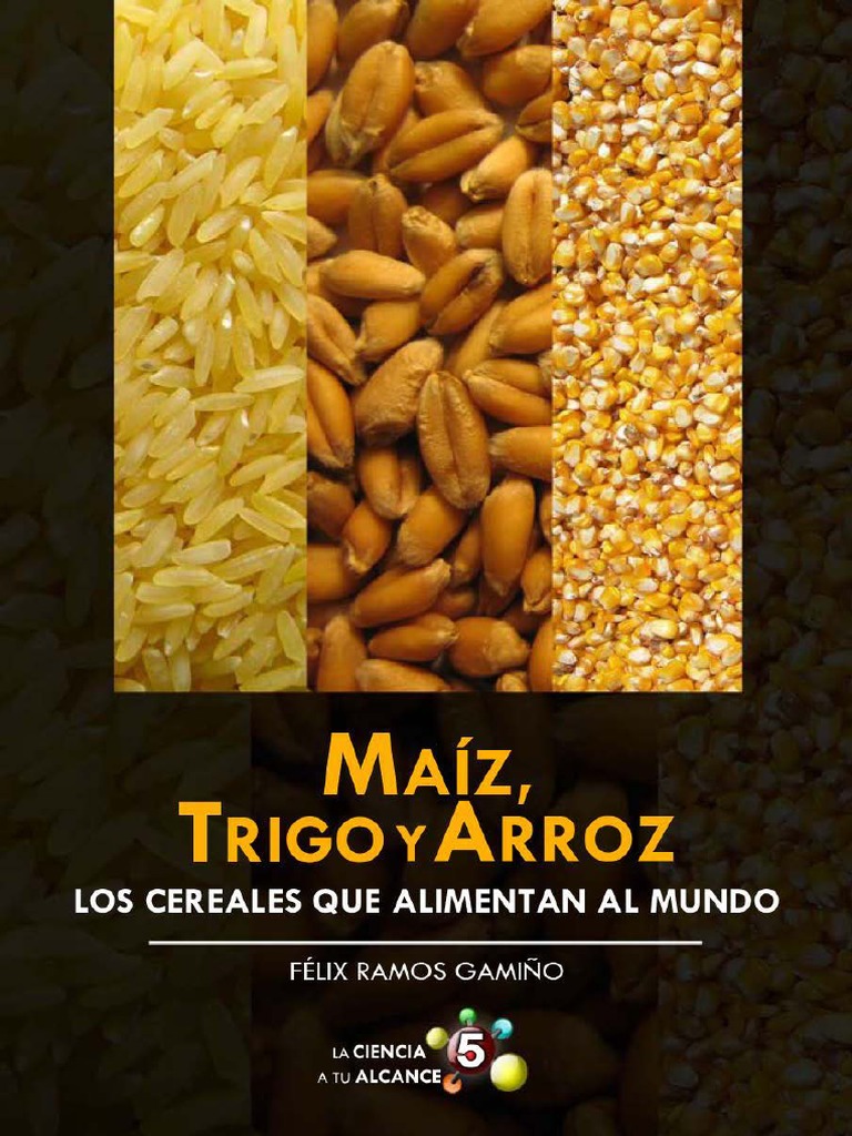 Maíz, trigo y arroz | Hambruna | Cereales