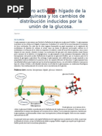 Función y Estructura de la Hexoquinasa | PDF | Enzima | Fosforilación