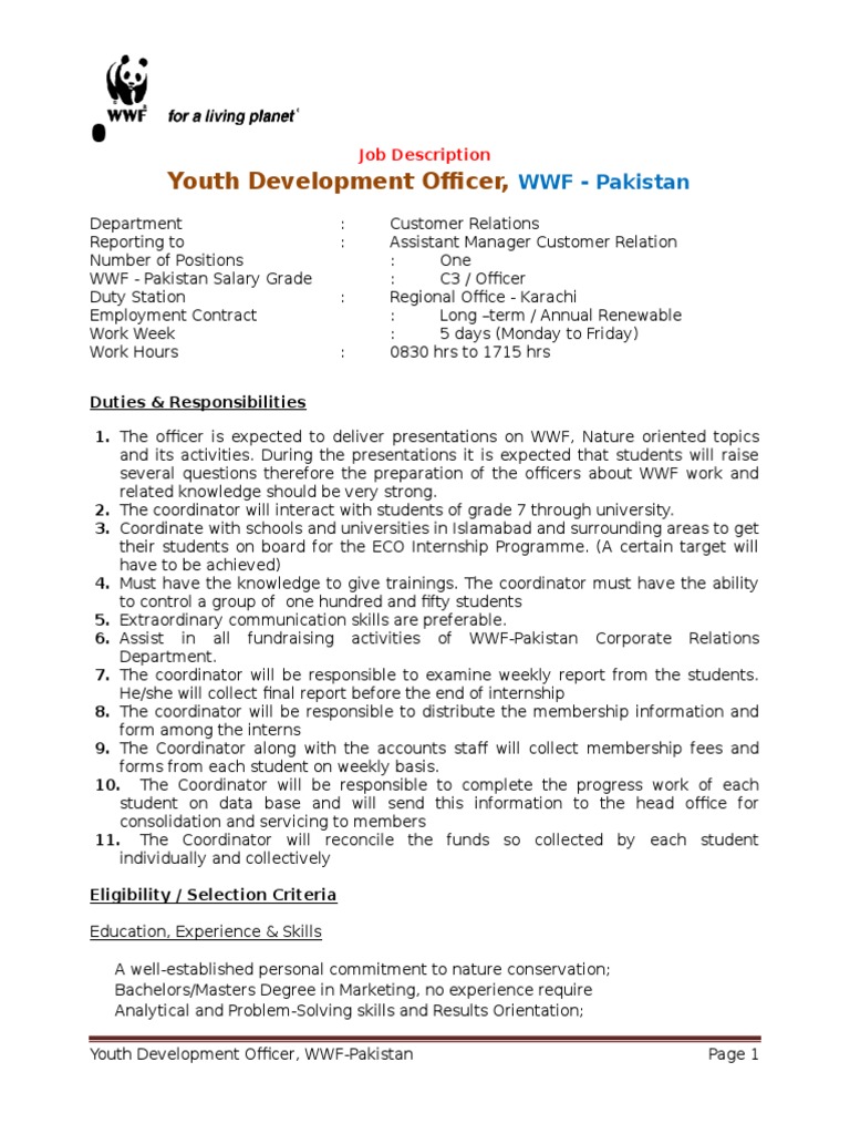 Youth Development Officer | PDF | Internship | Job Hunting
