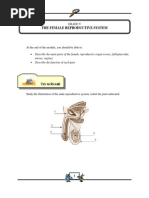 Reproductive Physiology and Anatomy of The Sow PDF | PDF | Luteinizing ...