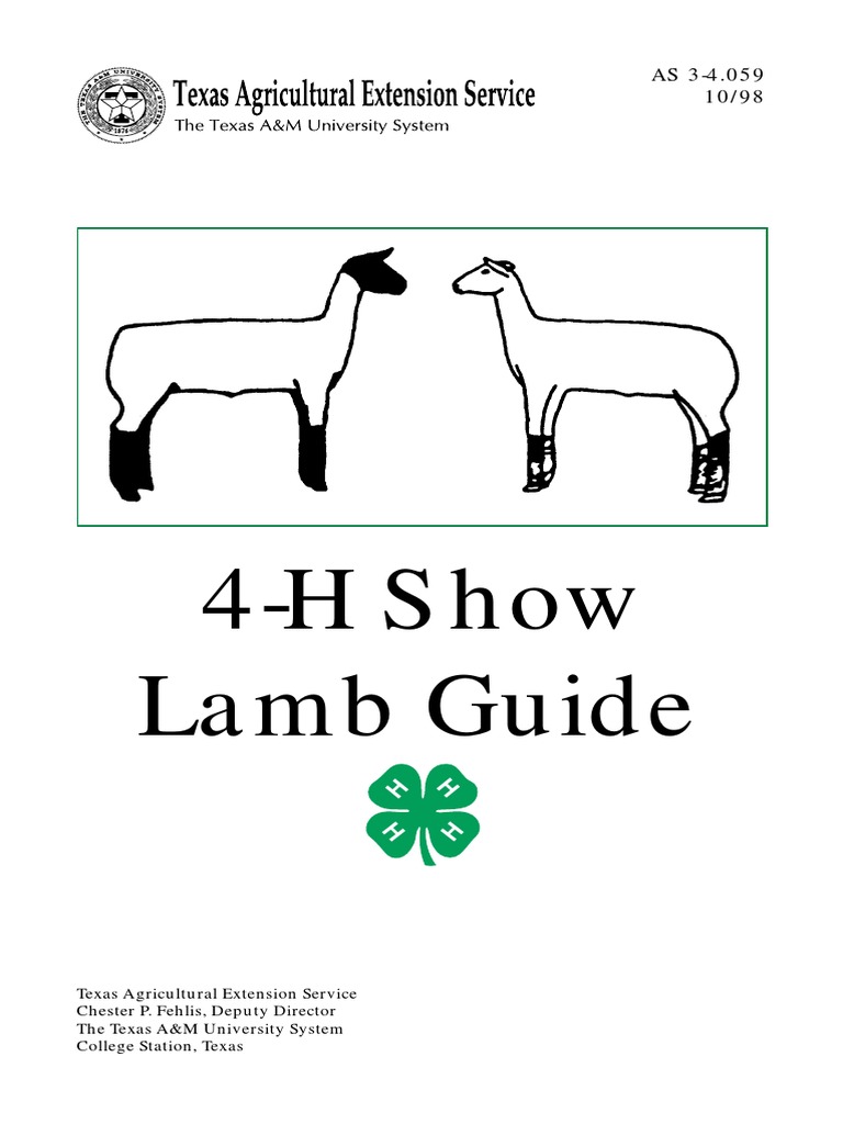 4-H Show Lamb Guide | PDF | Sheep | Nutrients
