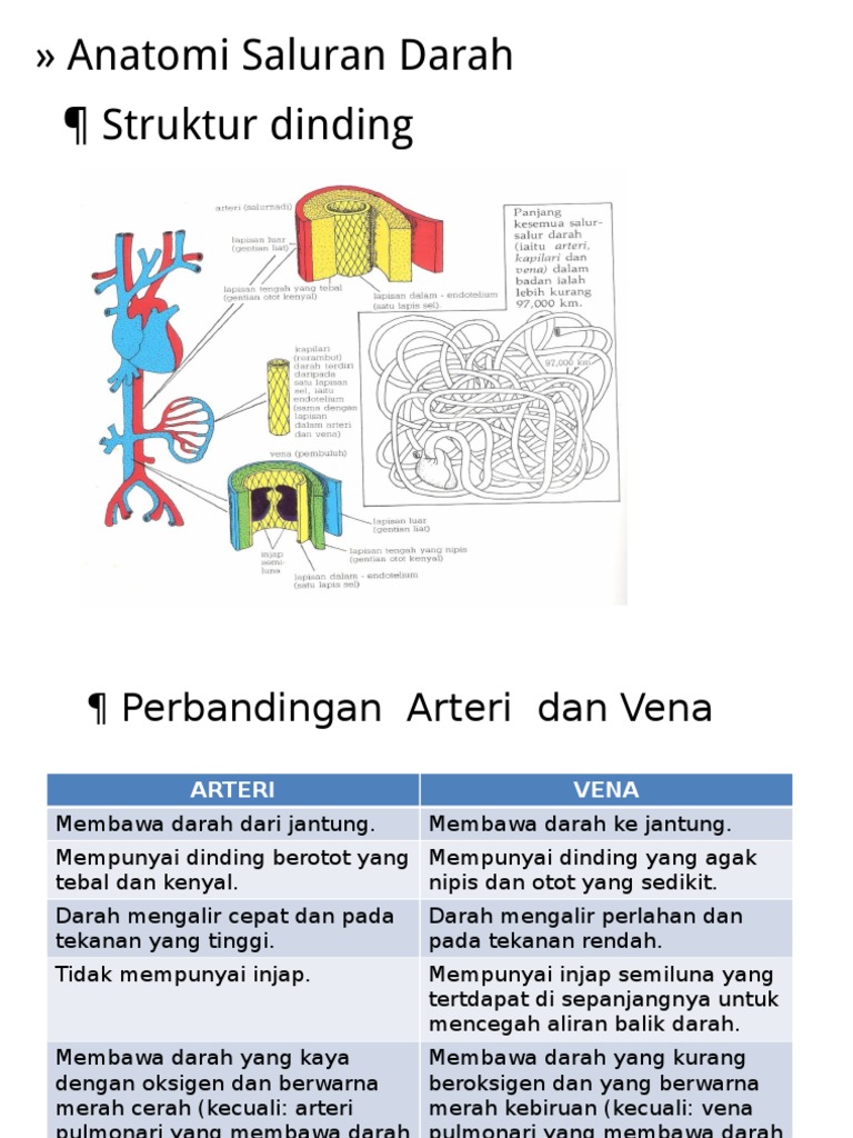 Arteri, Vena & Kapilari | PDF | Perjalanan | Puisi