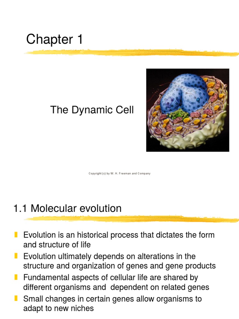 Chapter01 the Dynamic Cell | Cell (Biology) | Organisms