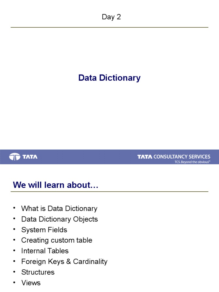 ABAP - Data Dictionary | PDF | Data Type | Database Index