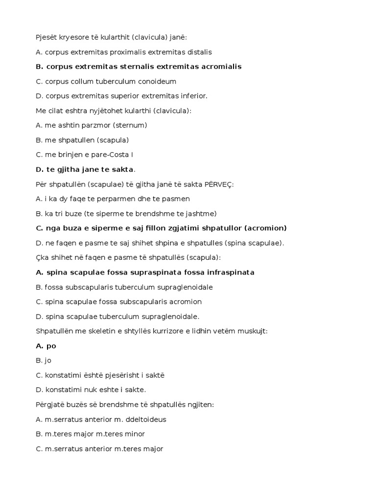 New OpenDocument Text (2) (1) .Odt | PDF