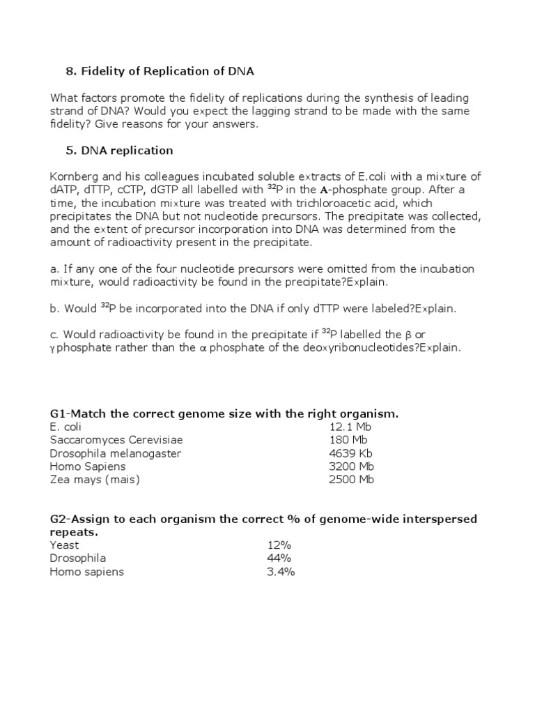 DNA Replication Fidelity and Strand Synthesis | PDF | Dna Replication ...