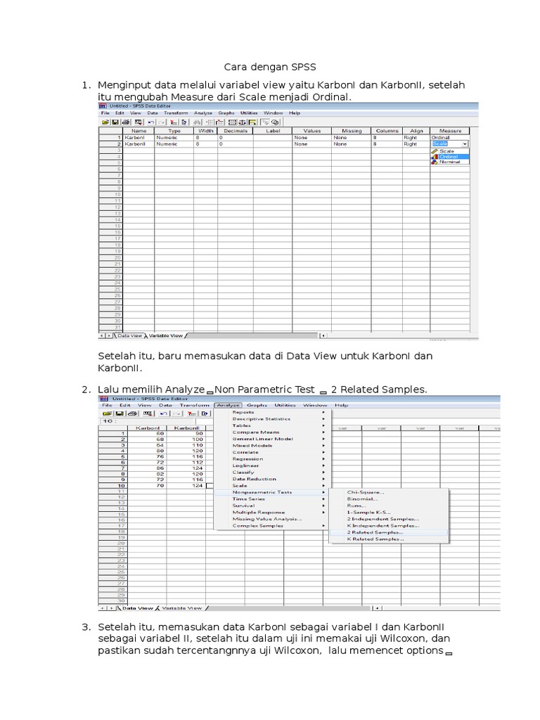 Cara Dengan SPSS Uji Wilcoxon | PDF