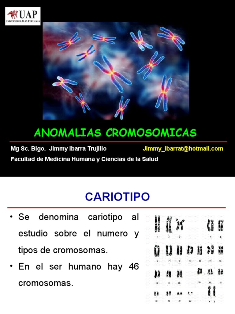 Anomalias Cromosomicas | PDF | Cariotipo | Síndrome de Down